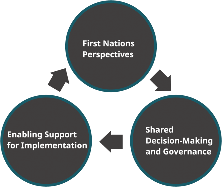 What We Do – First Nations–B.C. Wildlife and Habitat Conservation Forum